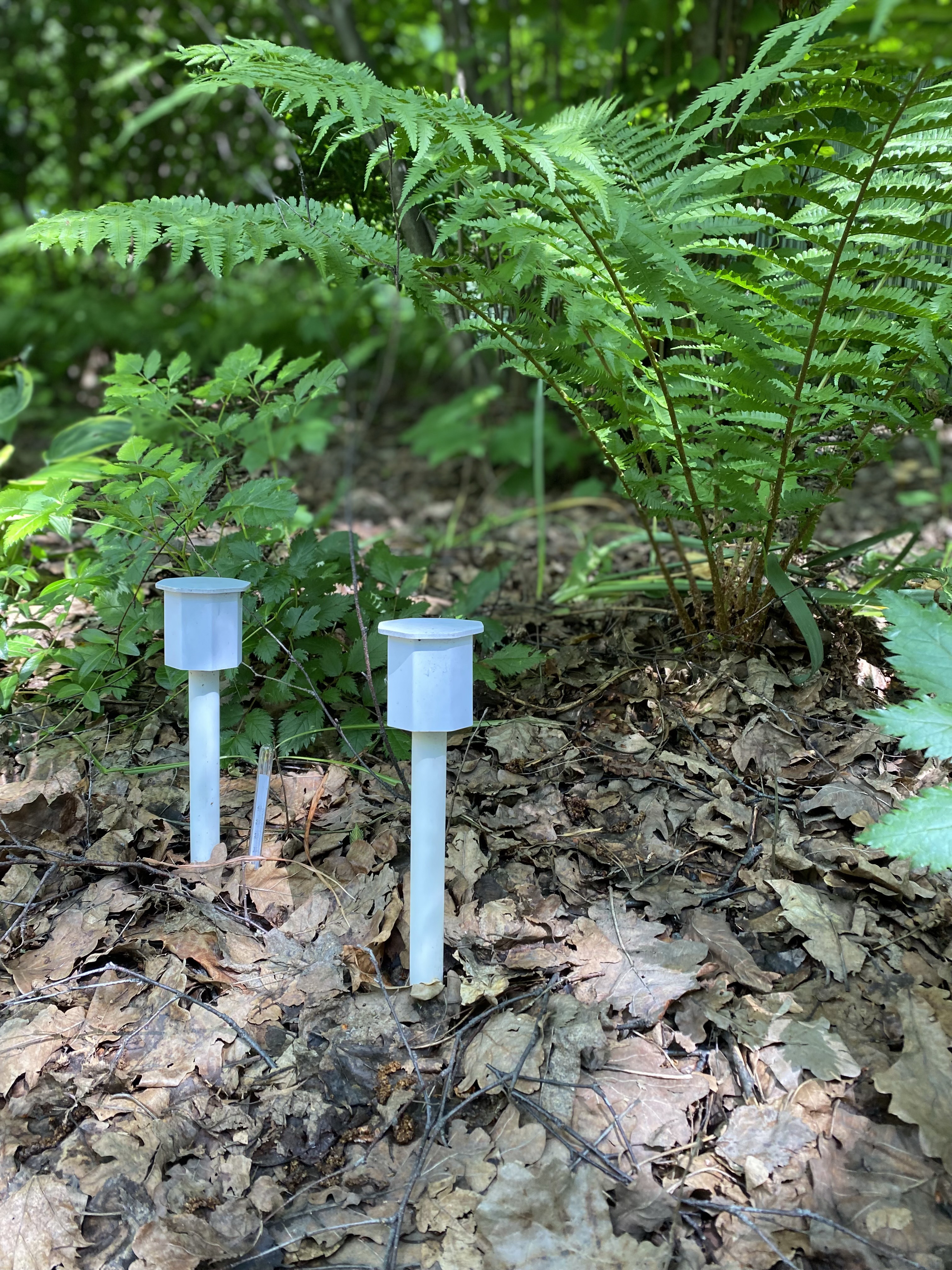 Custom IoT Sensor Development | Ecovillages and sustainable gardens ...