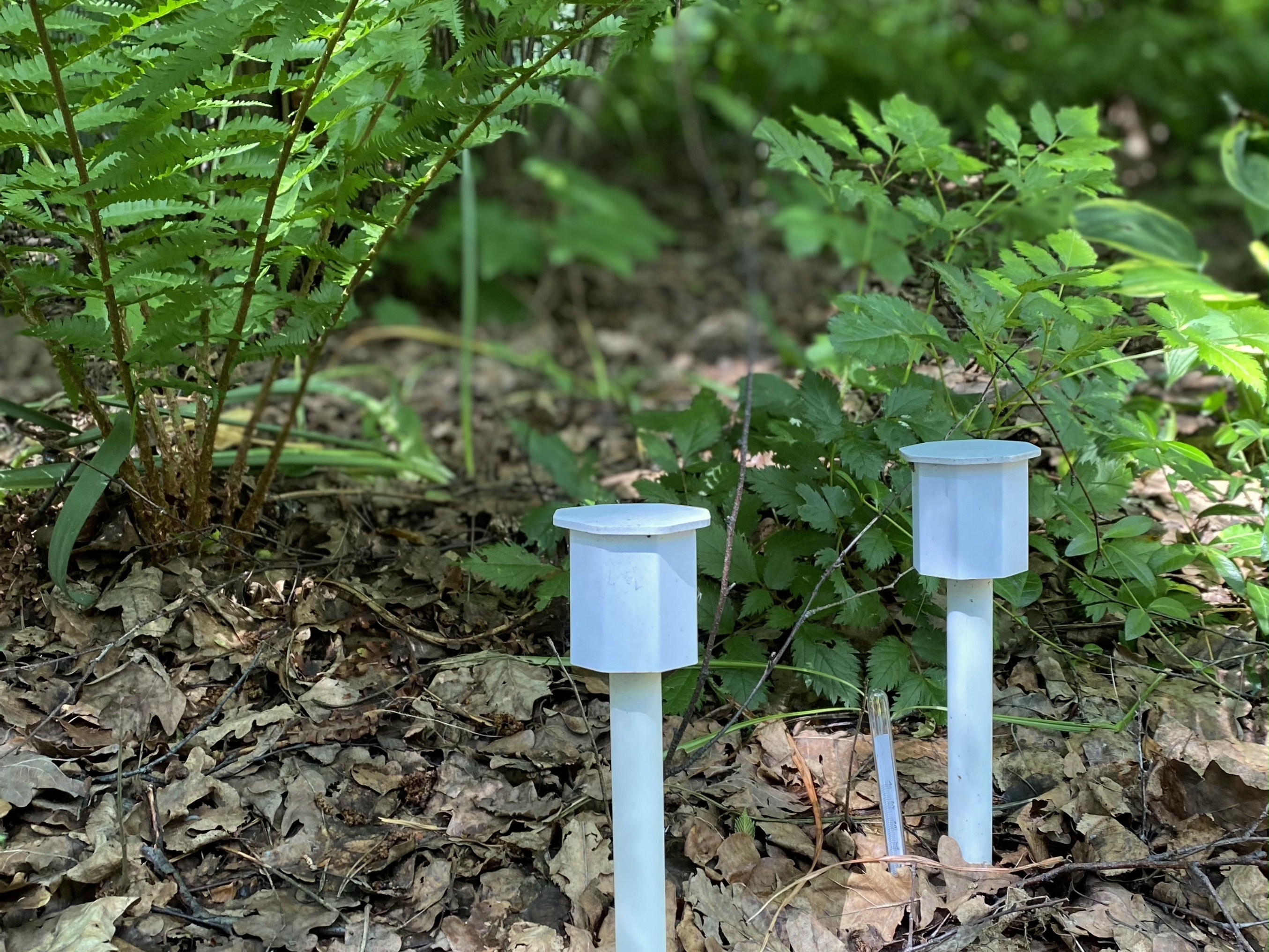 Smart Home, Smart Garden, Smart Symbiosis! | Ecovillages and ...